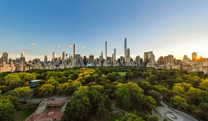 New York City urban forest plan targets hottest, least-shaded blocks